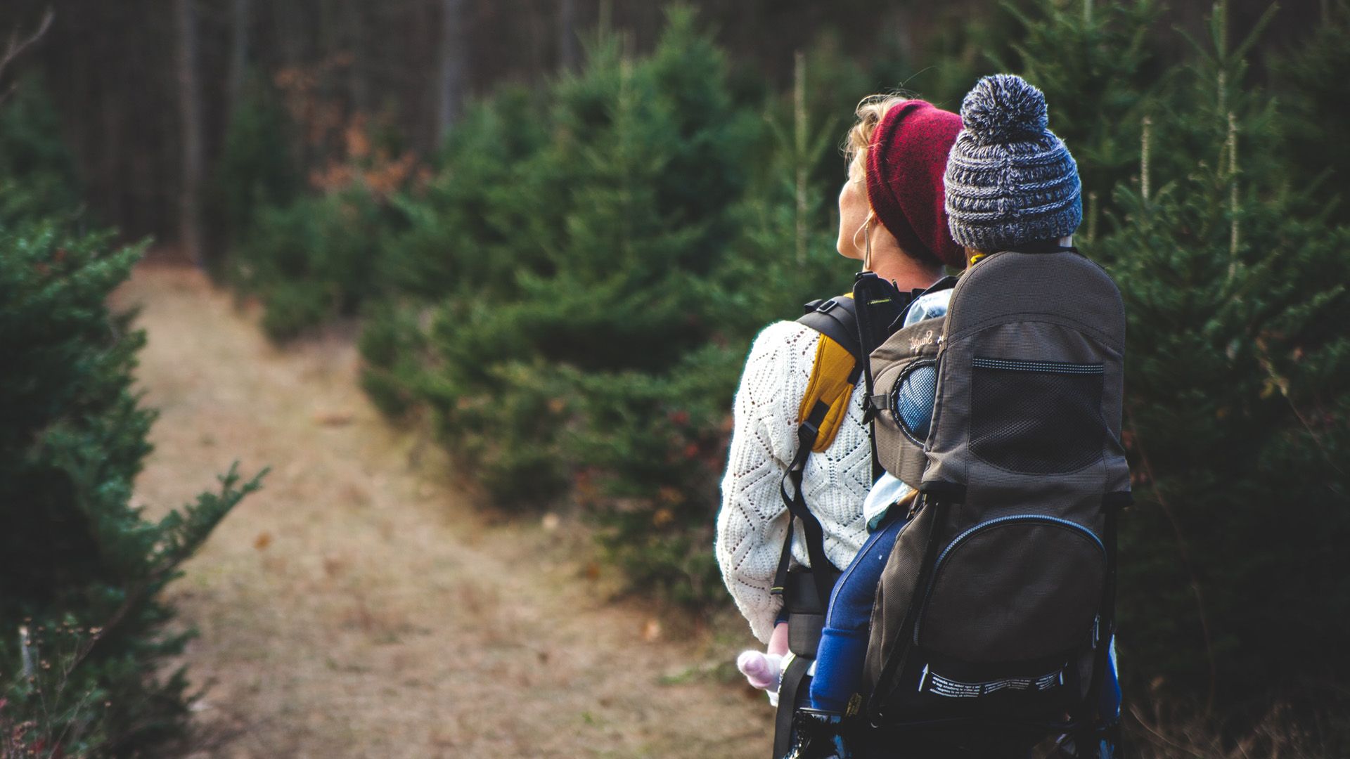 What Is Collaborative Practice? — Australian Association of ...